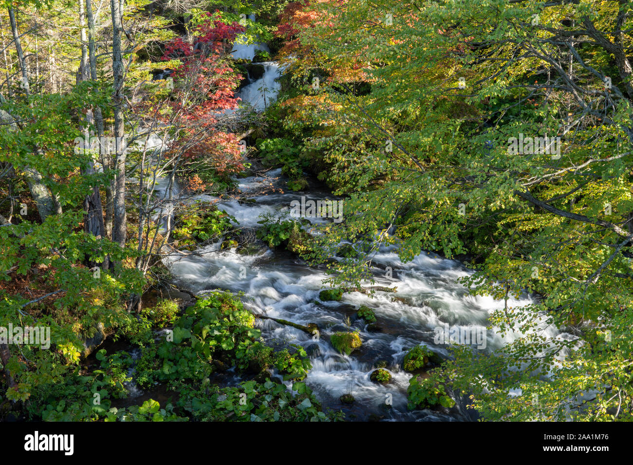 Stream and autumn foliage Stock Photo - Alamy