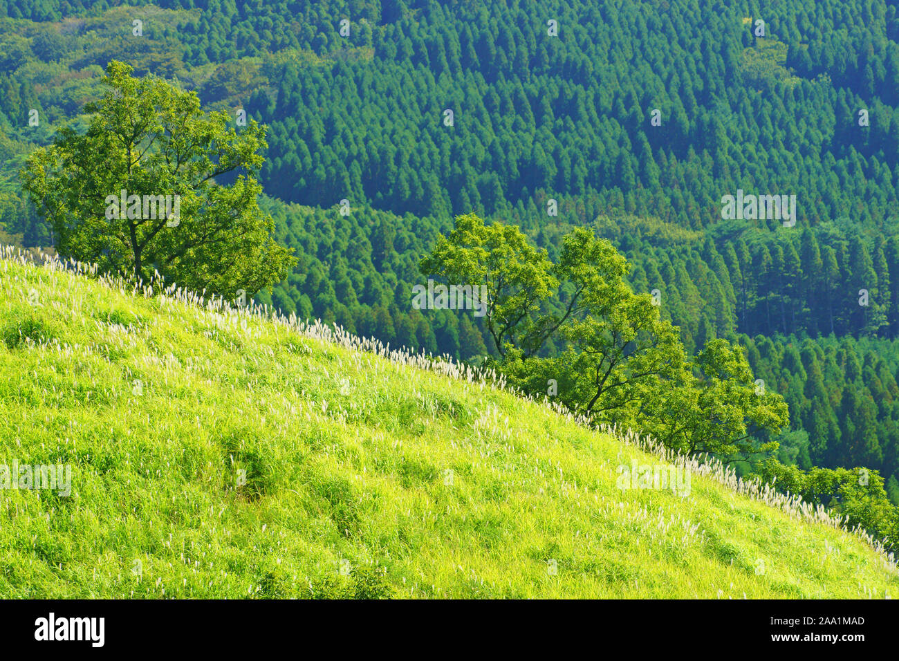 Japan land reform hi-res stock photography and images - Alamy