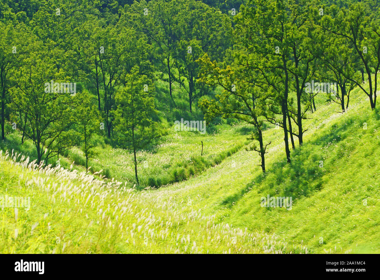 Japan land reform hi-res stock photography and images - Alamy