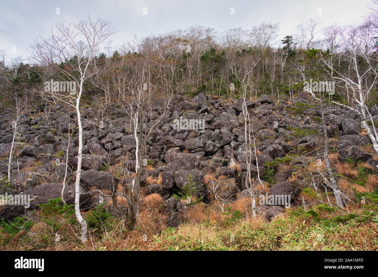 Rock lump slope hi-res stock photography and images - Alamy