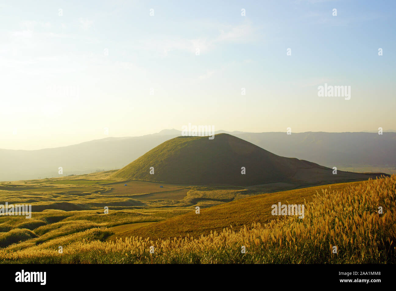 Japanese silver grass fields hi-res stock photography and images - Alamy