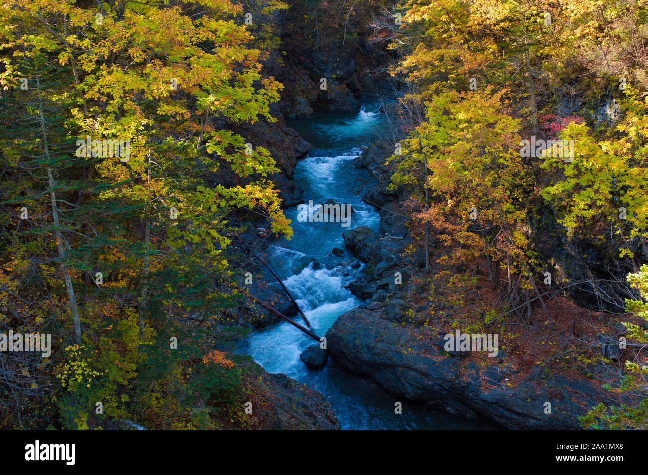 Japanese Fall Foliage and River Stock Photo - Alamy