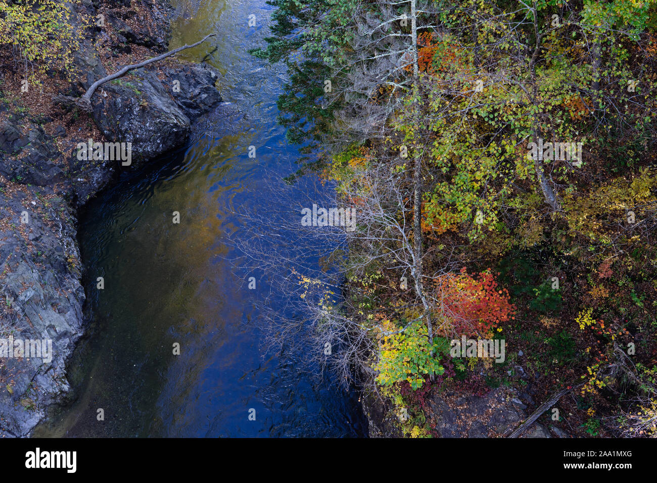 Japanese Fall Foliage and River Stock Photo - Alamy