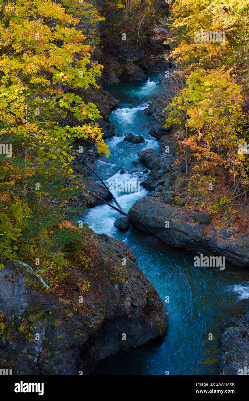 Japanese Fall Foliage and River Stock Photo - Alamy