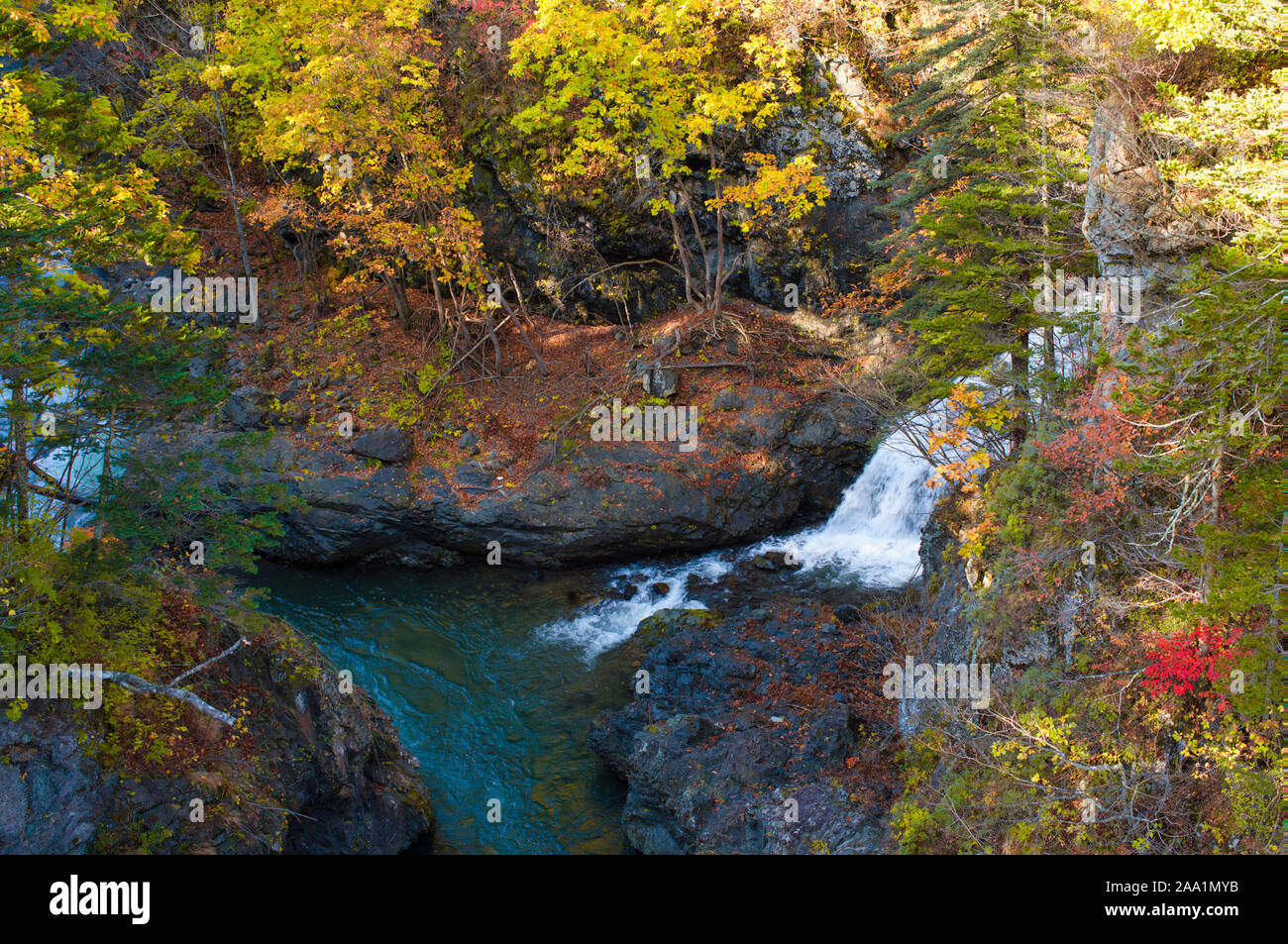 Japanese Fall Foliage and River Stock Photo - Alamy