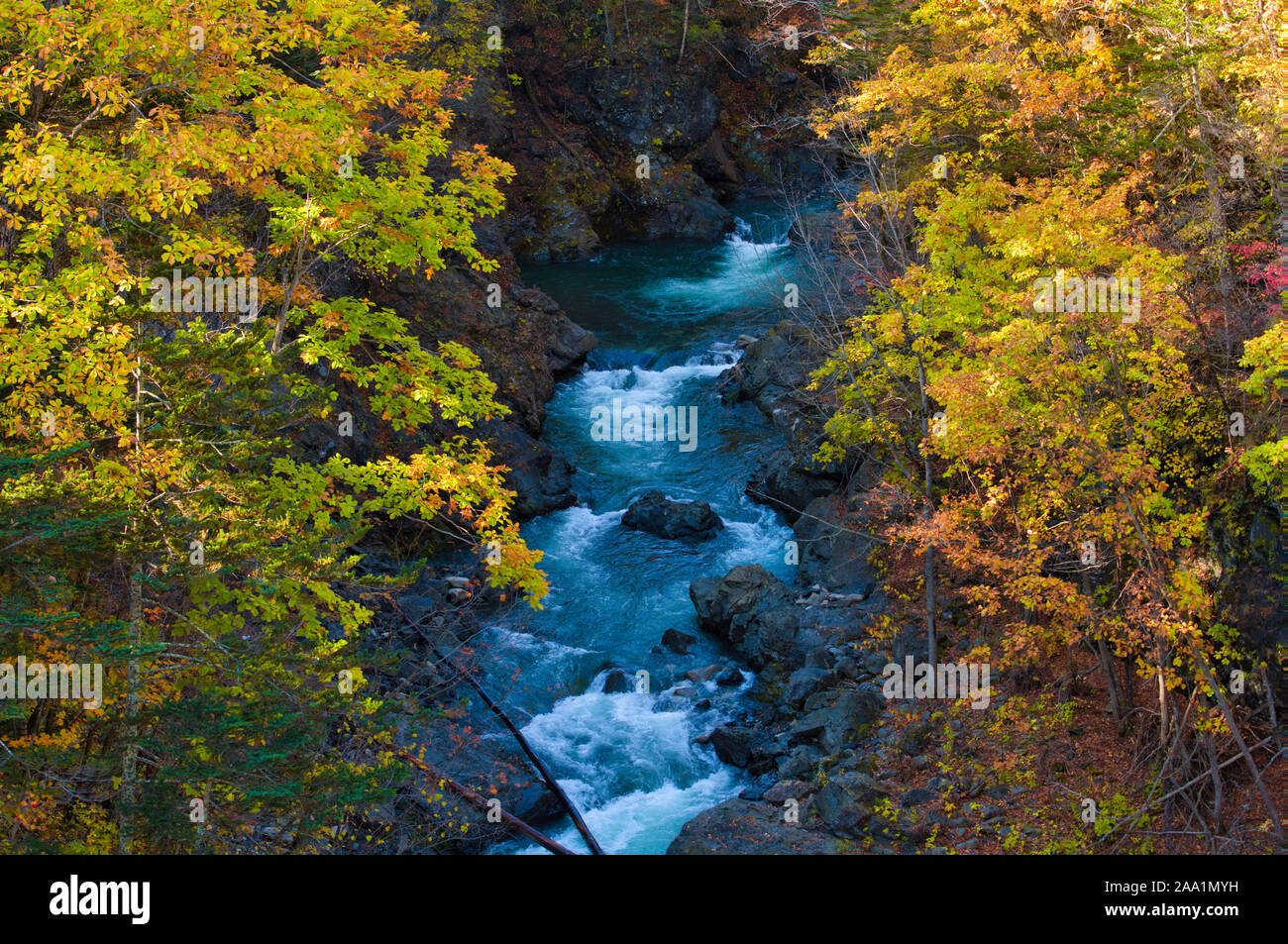 Japanese Fall Foliage and River Stock Photo - Alamy