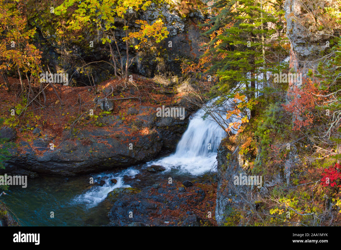 Japanese Fall Foliage and River Stock Photo - Alamy