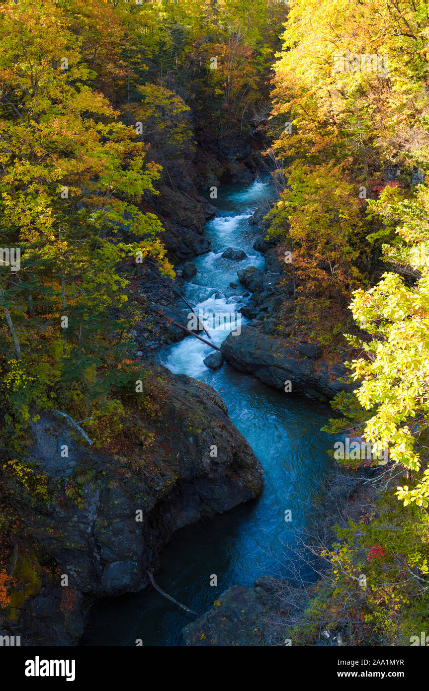 Japanese Fall Foliage and River Stock Photo - Alamy