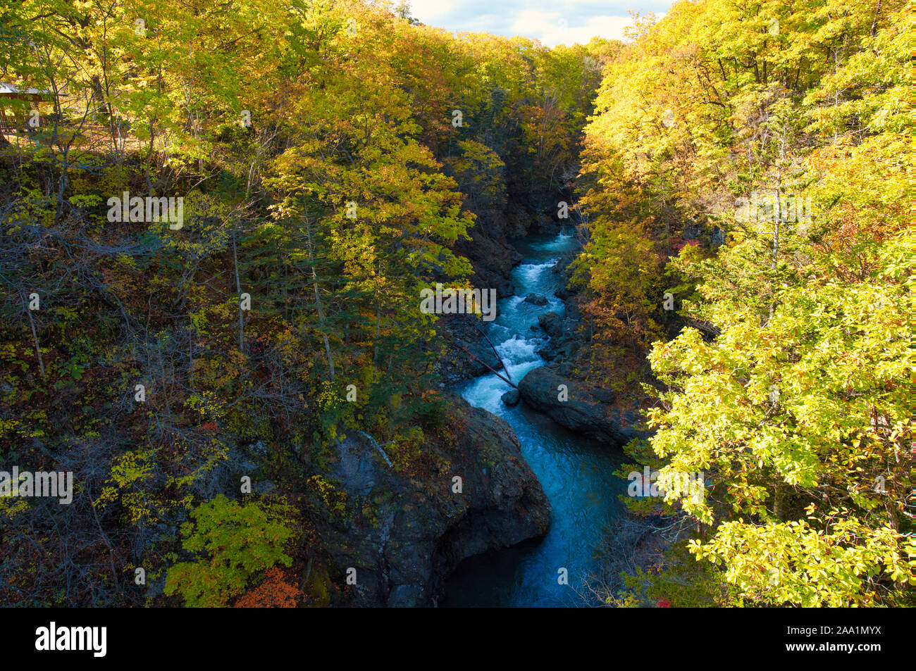 Japanese Fall Foliage and River Stock Photo - Alamy