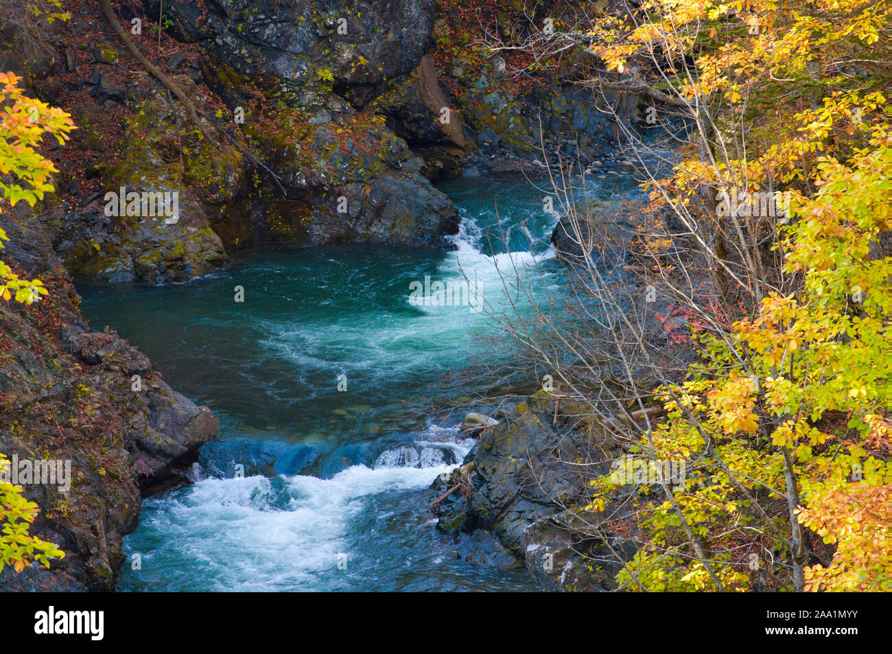 Japanese Fall Foliage and River Stock Photo - Alamy