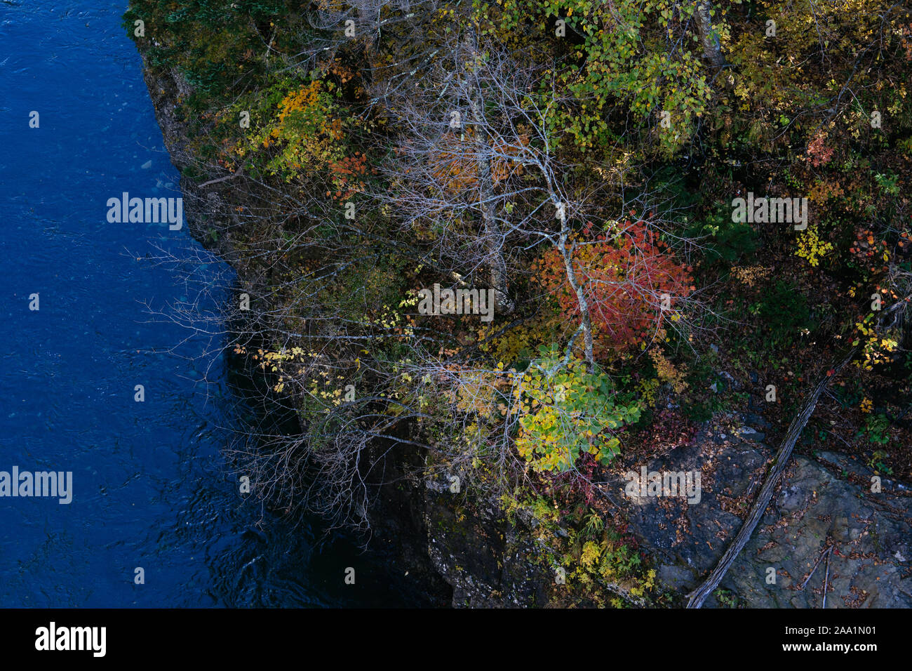 Japanese Fall Foliage and River Stock Photo - Alamy