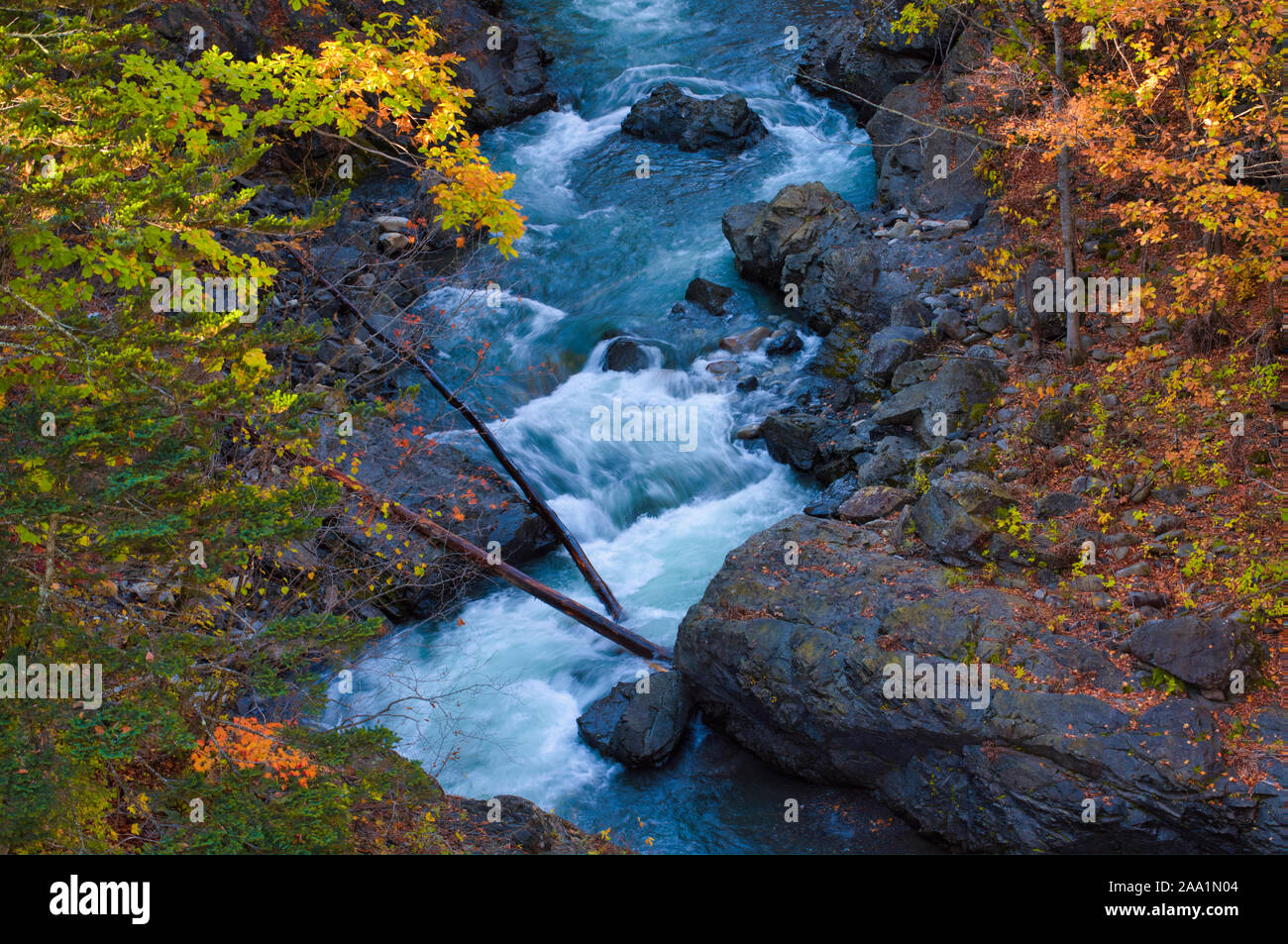 Japanese Fall Foliage and River Stock Photo - Alamy