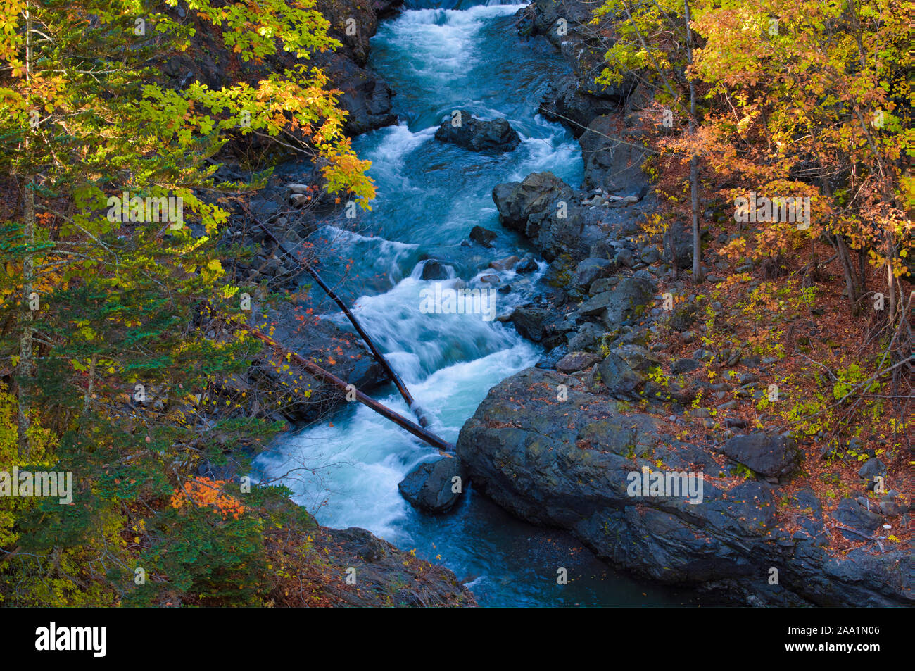 Japanese Fall Foliage and River Stock Photo - Alamy