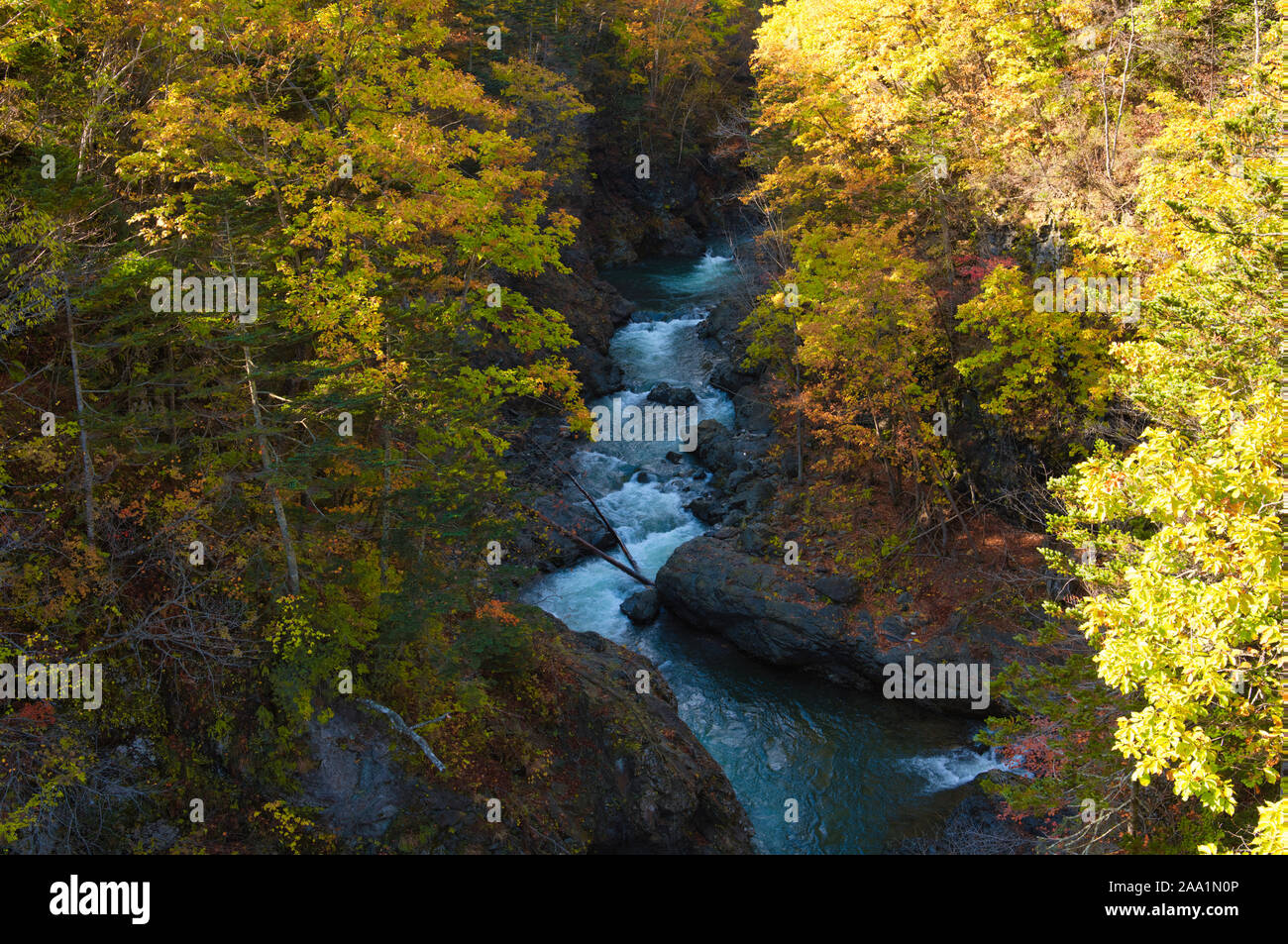 Japanese Fall Foliage and River Stock Photo - Alamy