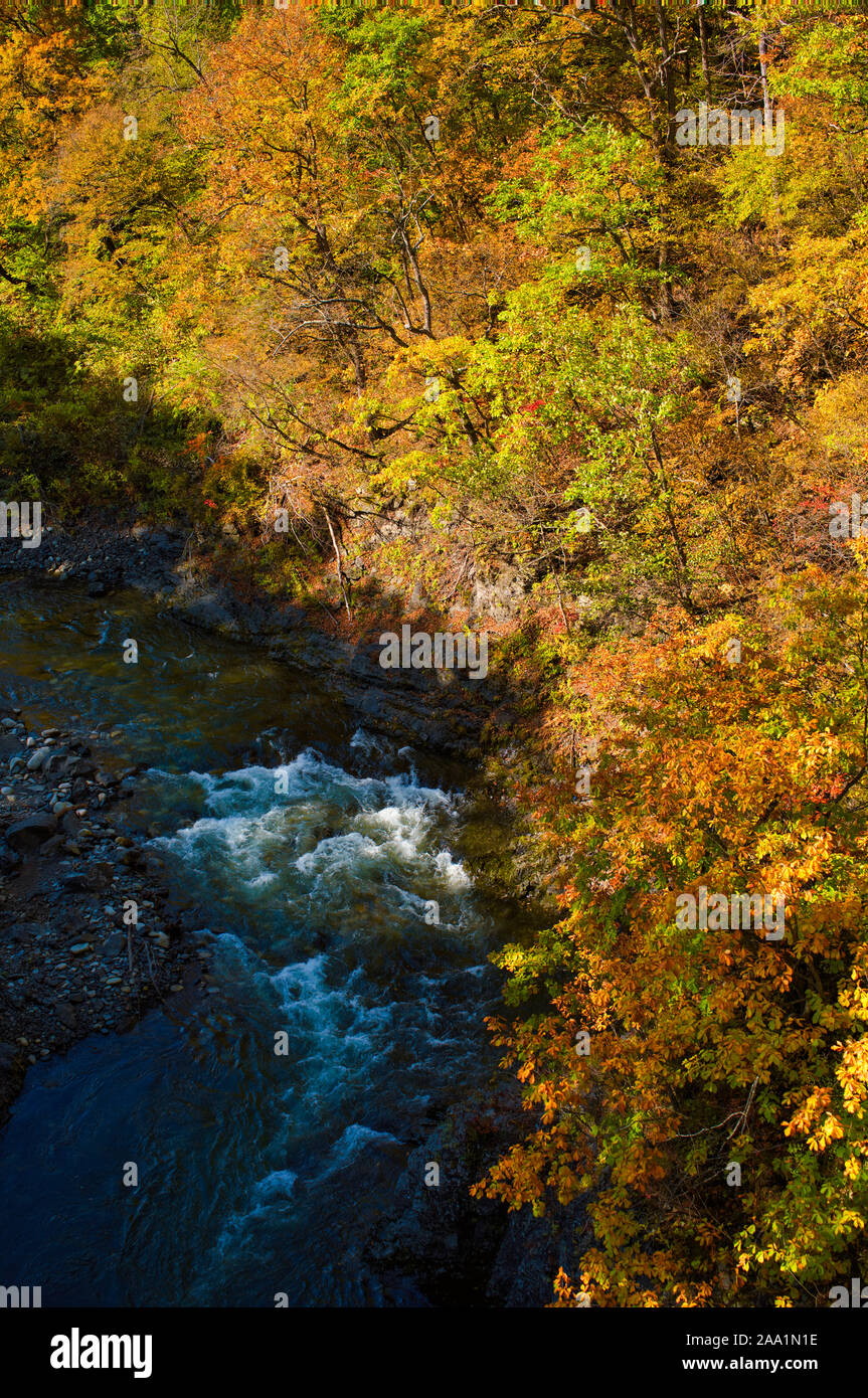 Japanese Fall Foliage and River Stock Photo - Alamy