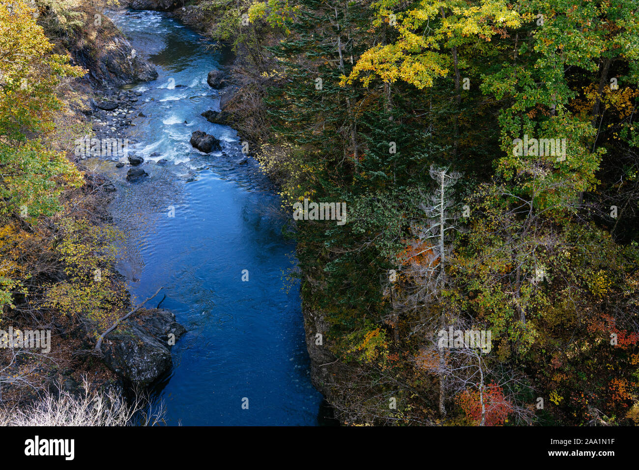 Japanese Fall Foliage and River Stock Photo - Alamy