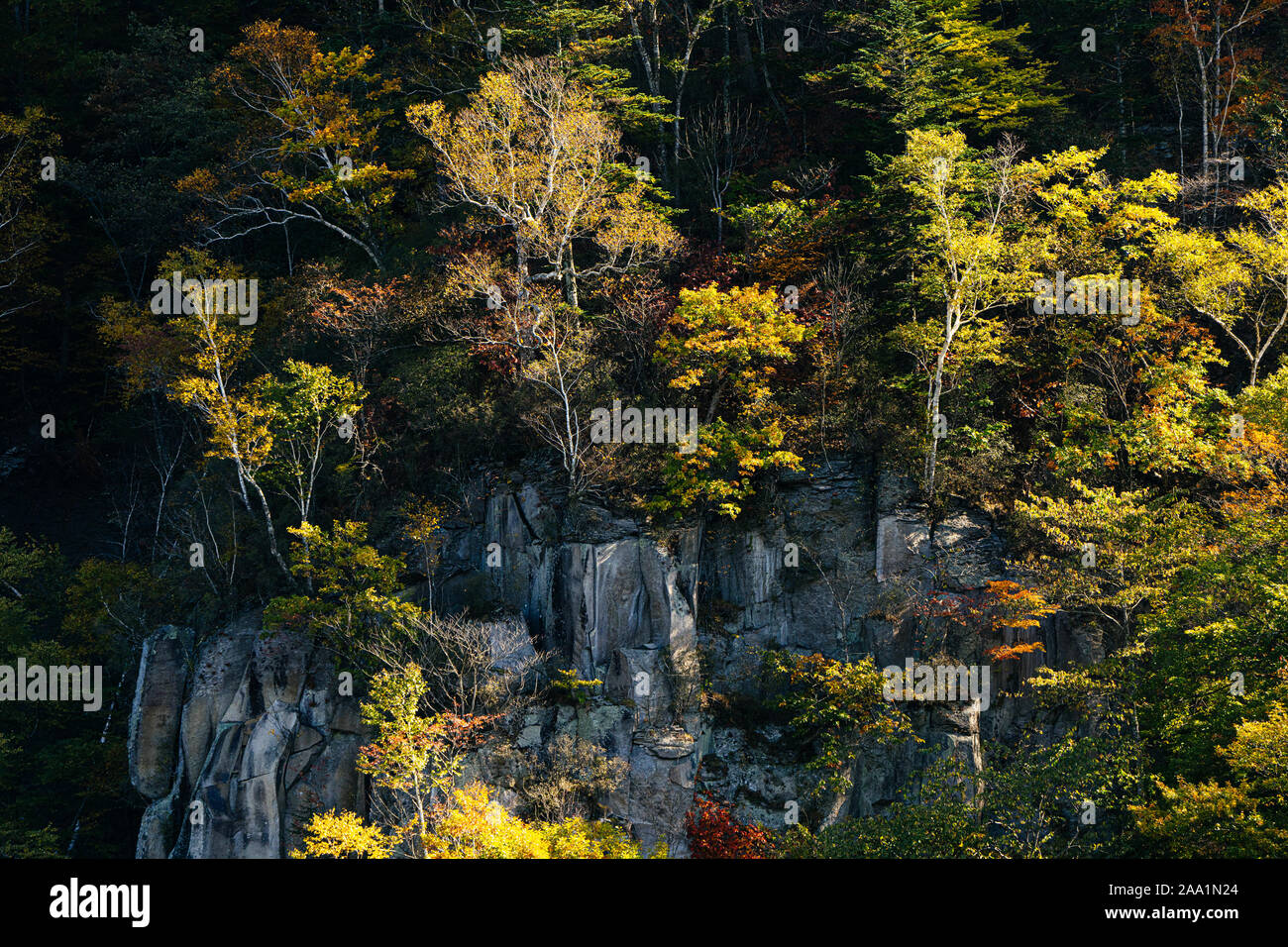 Cliff with autumn foliage Stock Photo - Alamy
