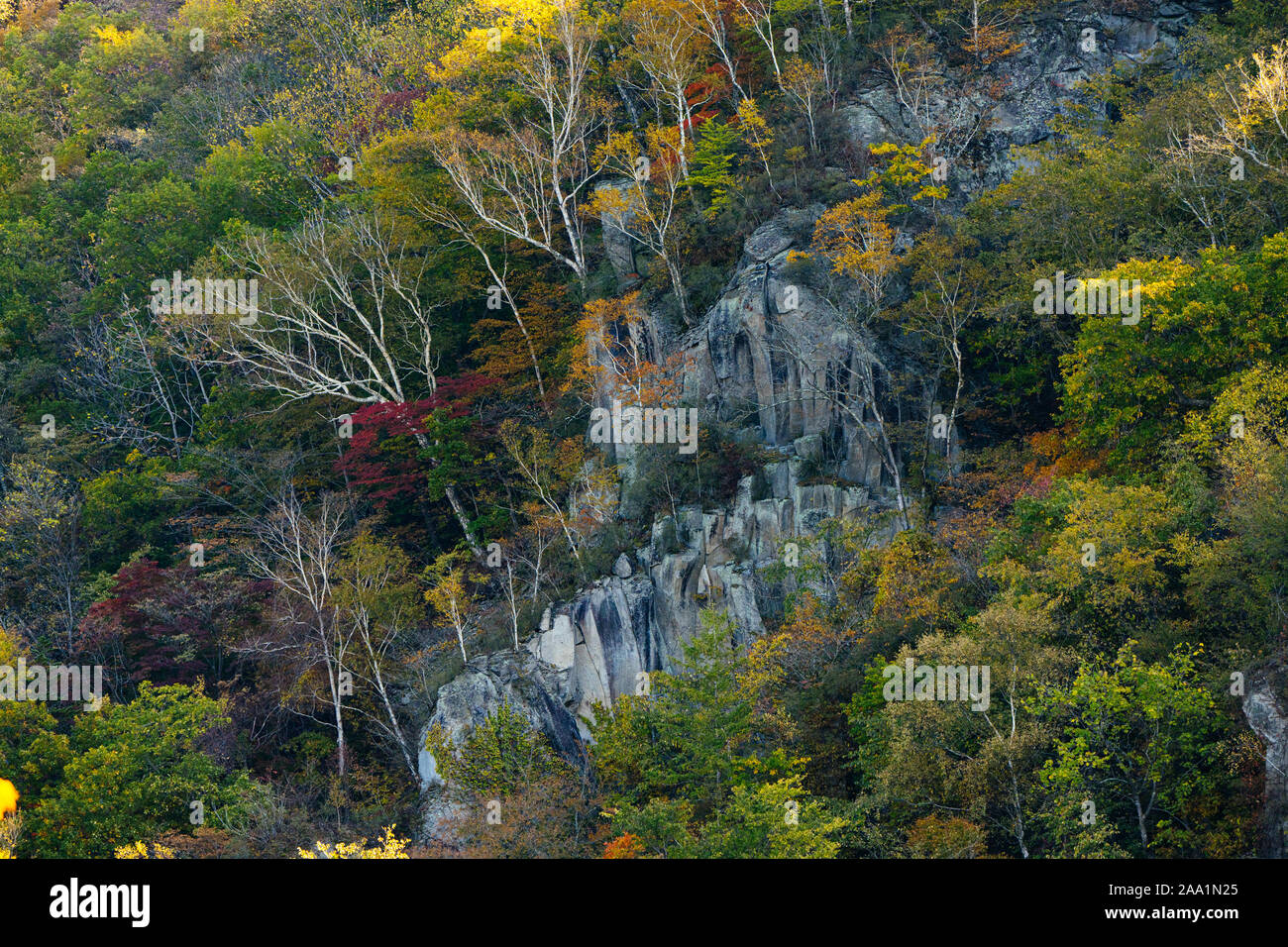 Cliff with autumn foliage Stock Photo - Alamy