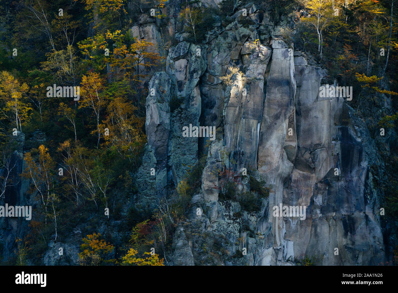 Cliff with autumn foliage Stock Photo - Alamy