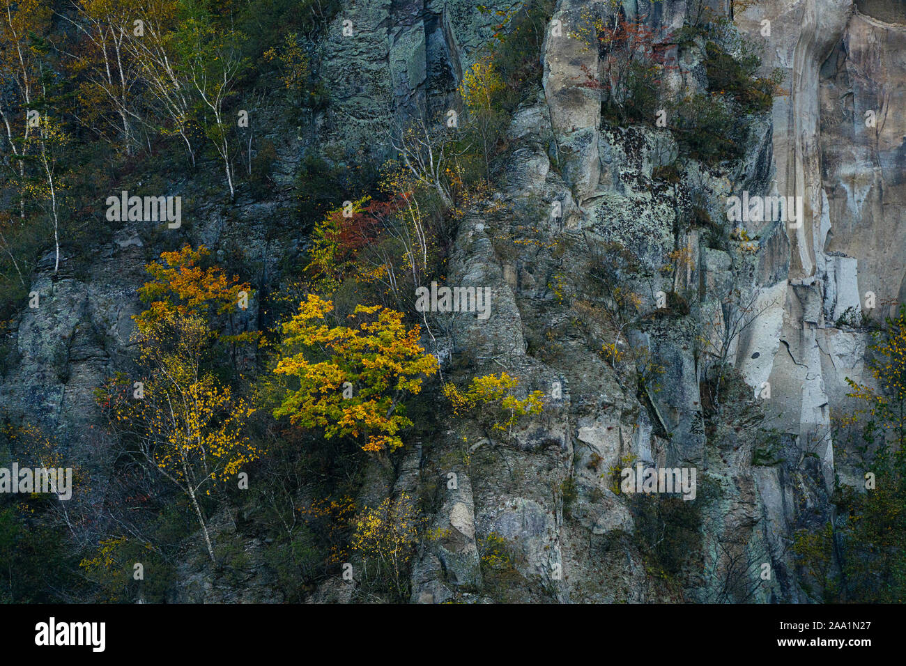 Cliff with autumn foliage Stock Photo - Alamy