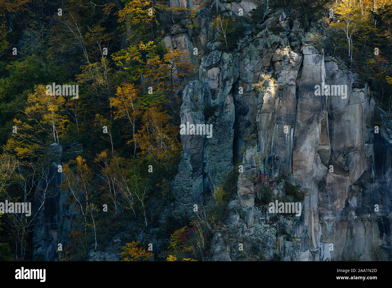 Cliff with autumn foliage Stock Photo - Alamy