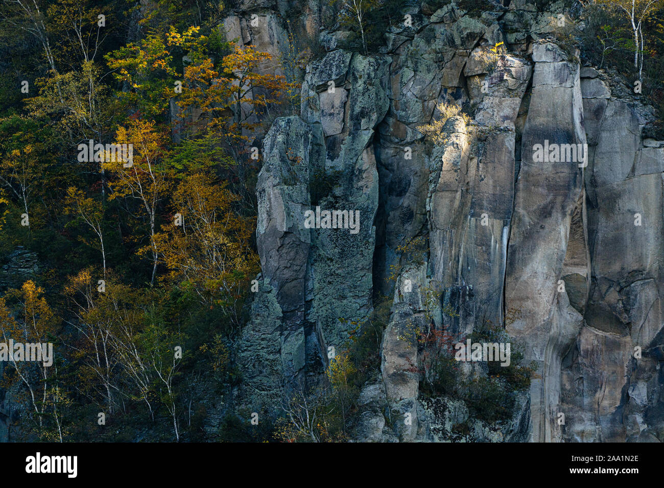 Cliff with autumn foliage Stock Photo - Alamy