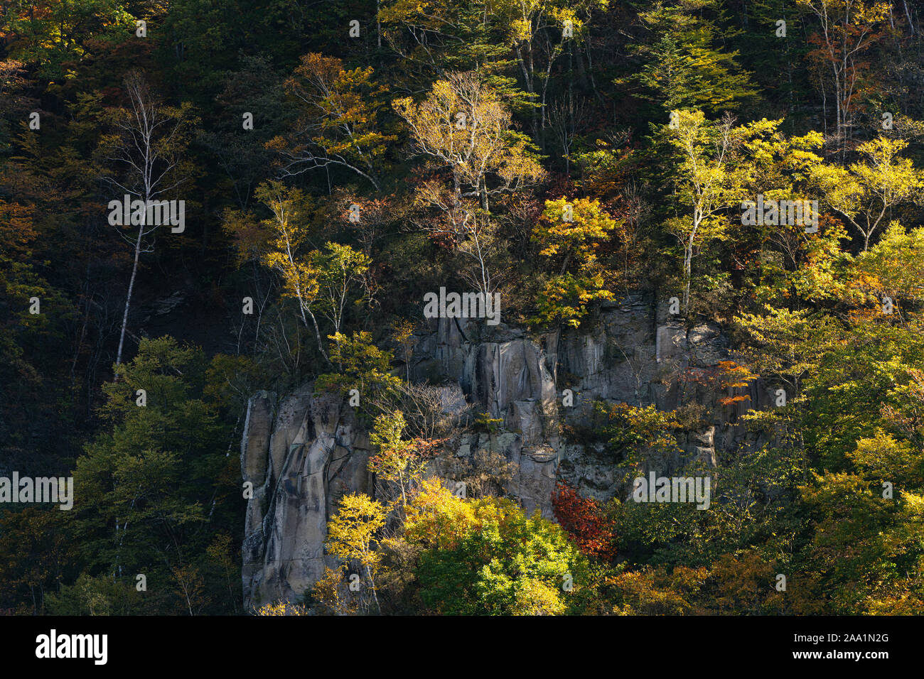 Cliff with autumn foliage Stock Photo - Alamy