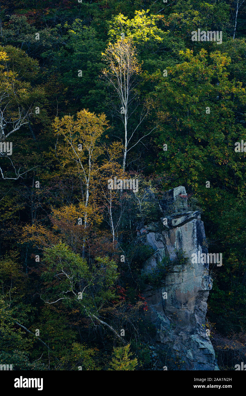 Cliff with autumn foliage Stock Photo - Alamy