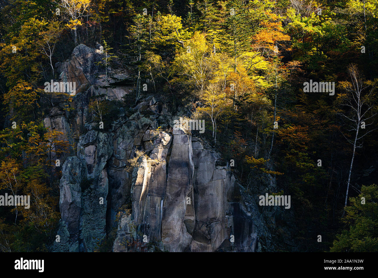 Cliff with autumn foliage Stock Photo - Alamy