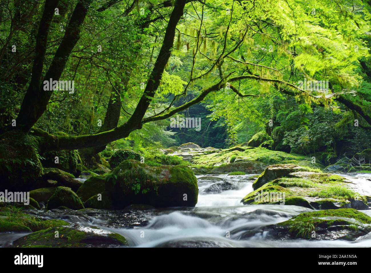 Kikuchi Gorge, Kumamoto Prefecture, Japan Stock Photo - Alamy