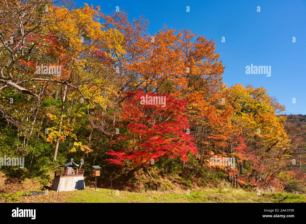 Tomuraushi Onsen, autumn foliage Stock Photo - Alamy