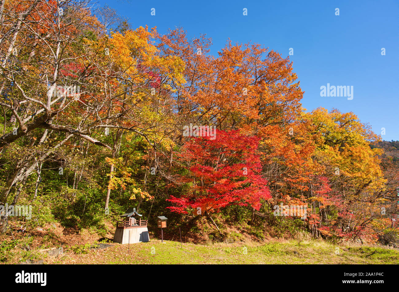Tomuraushi Onsen, autumn foliage Stock Photo - Alamy