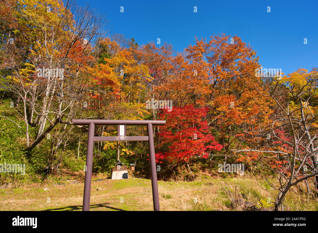 Tomuraushi Onsen, autumn foliage Stock Photo - Alamy