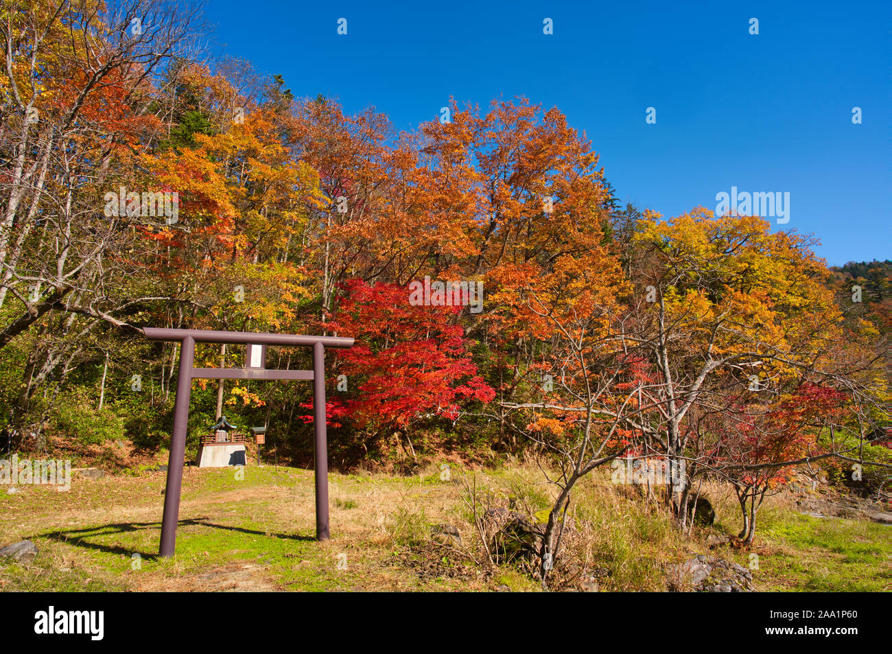 Tomuraushi Onsen, autumn foliage Stock Photo - Alamy