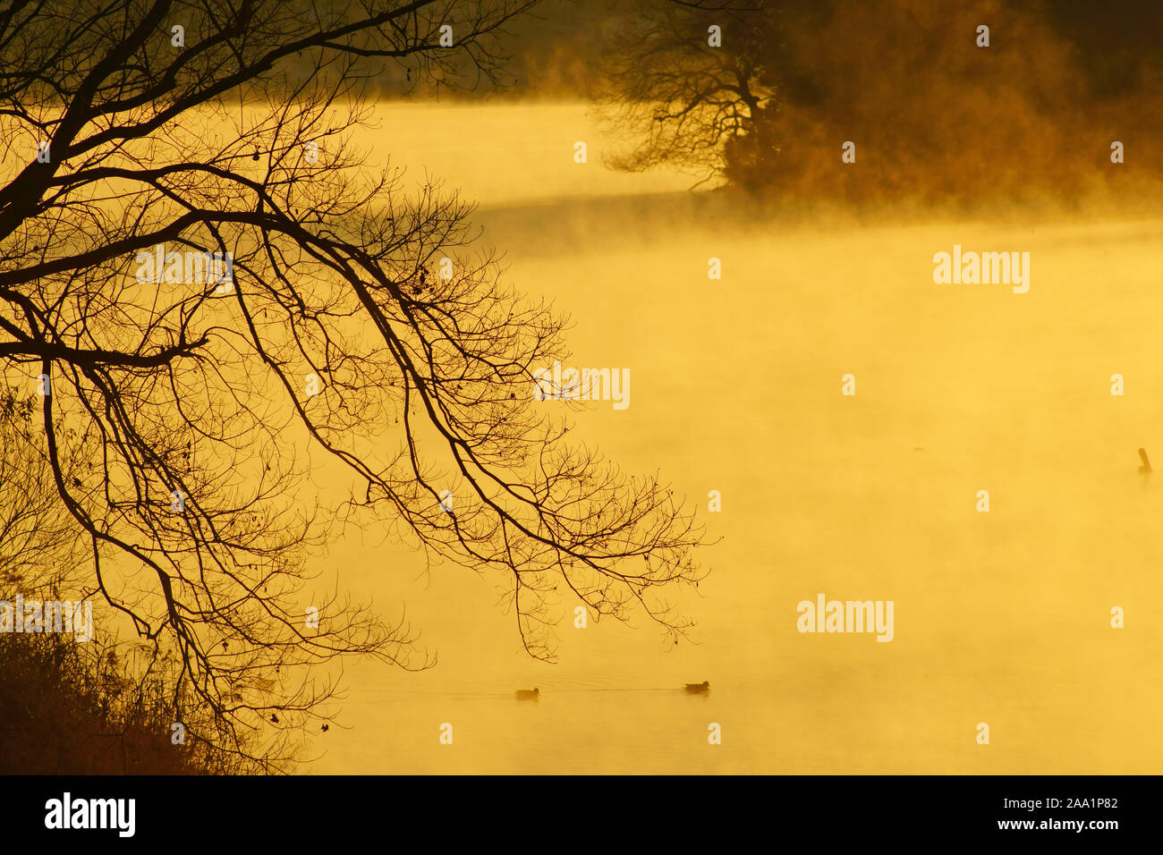 Lake Ezu, winter morning Stock Photo - Alamy