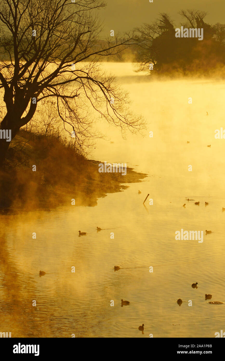 Lake Ezu, winter morning Stock Photo - Alamy
