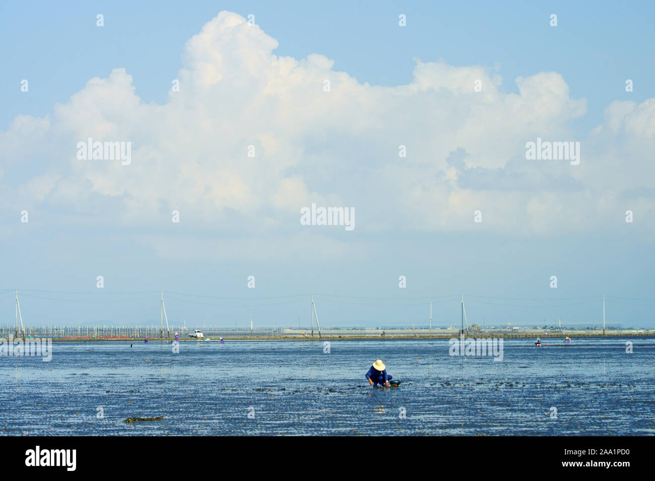 Mudflat of Ariake Sea, Kumamoto Prefecture, Japan Stock Photo - Alamy