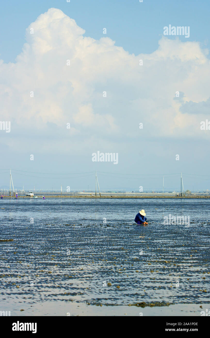 Kumamoto kyushu japan beach hi-res stock photography and images - Alamy