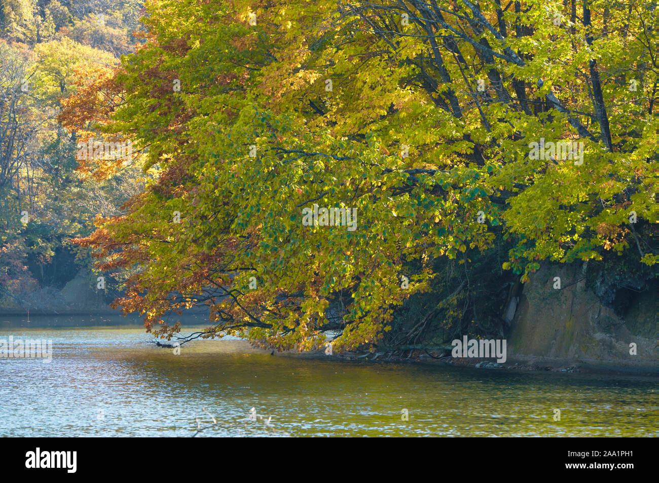Autumn foliage and Lake Stock Photo - Alamy