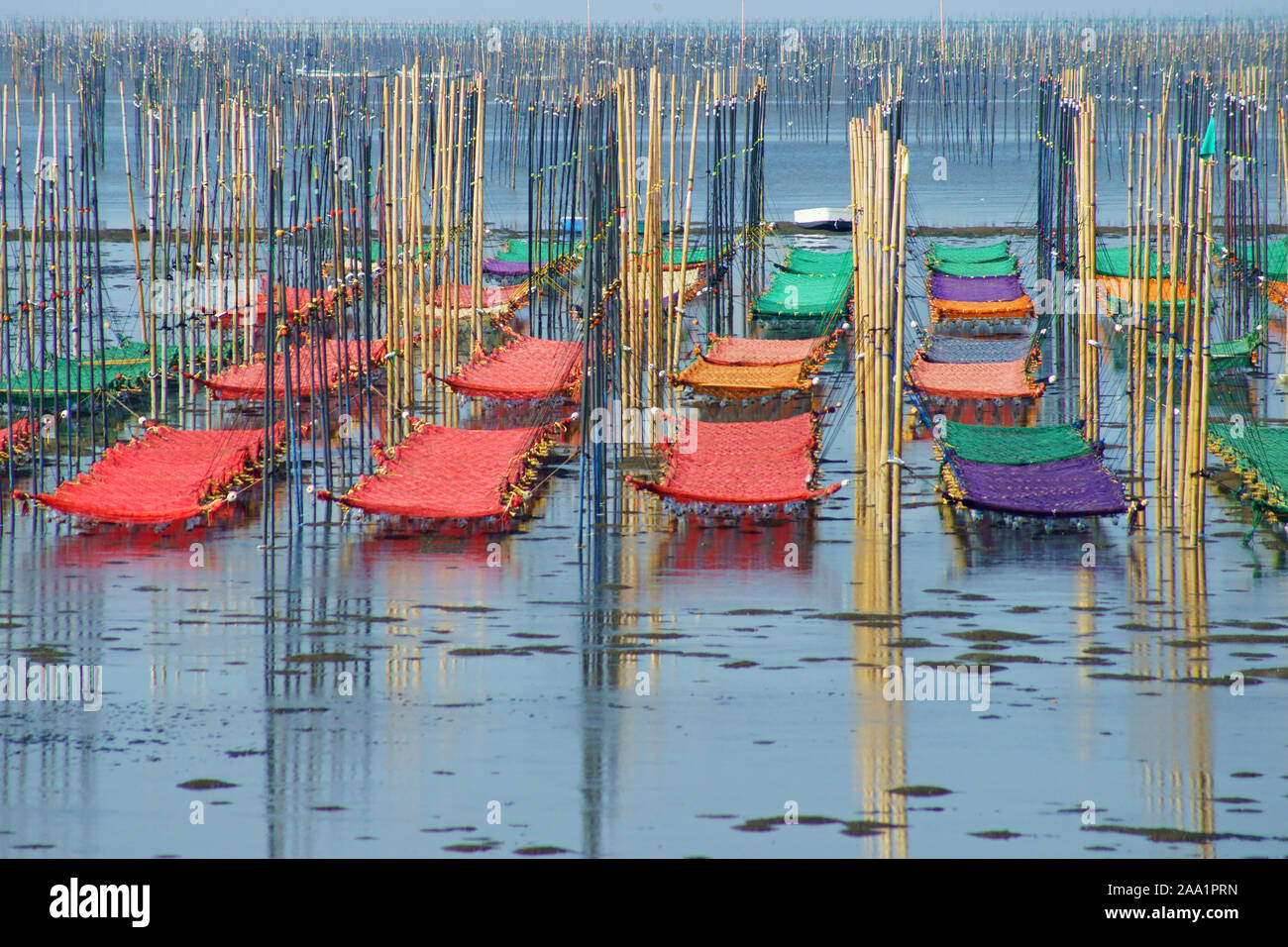 Ariake sea kyushu hi-res stock photography and images - Alamy