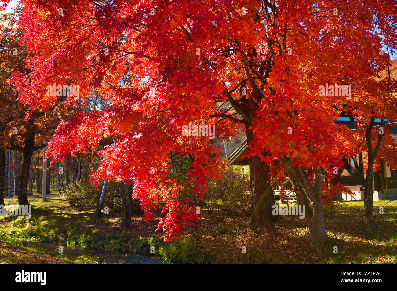 Memuro town hi-res stock photography and images - Alamy