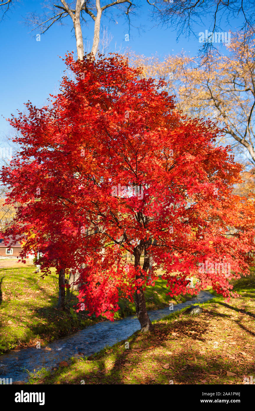 Memuro town hi-res stock photography and images - Alamy