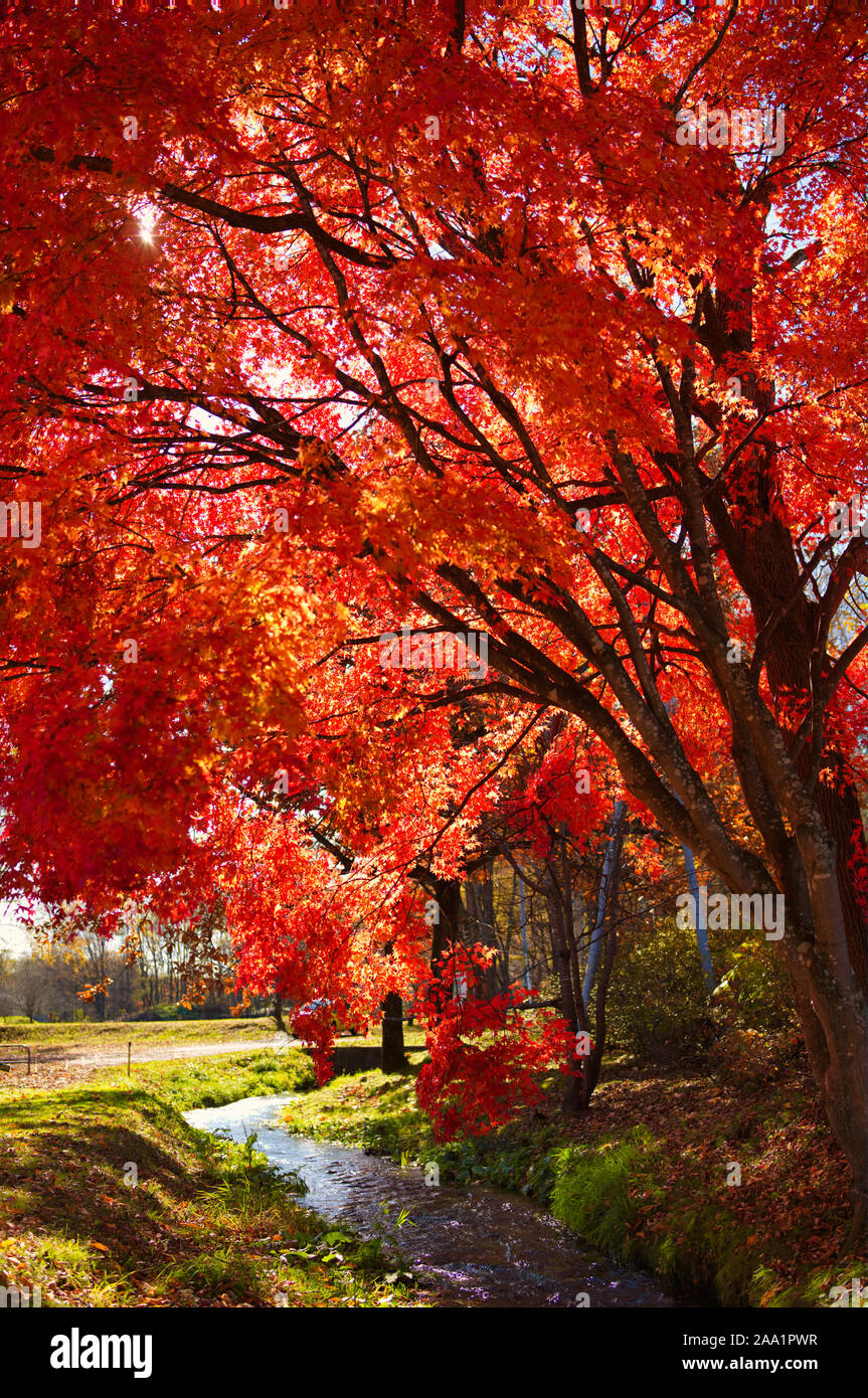 Memuro town hi-res stock photography and images - Alamy