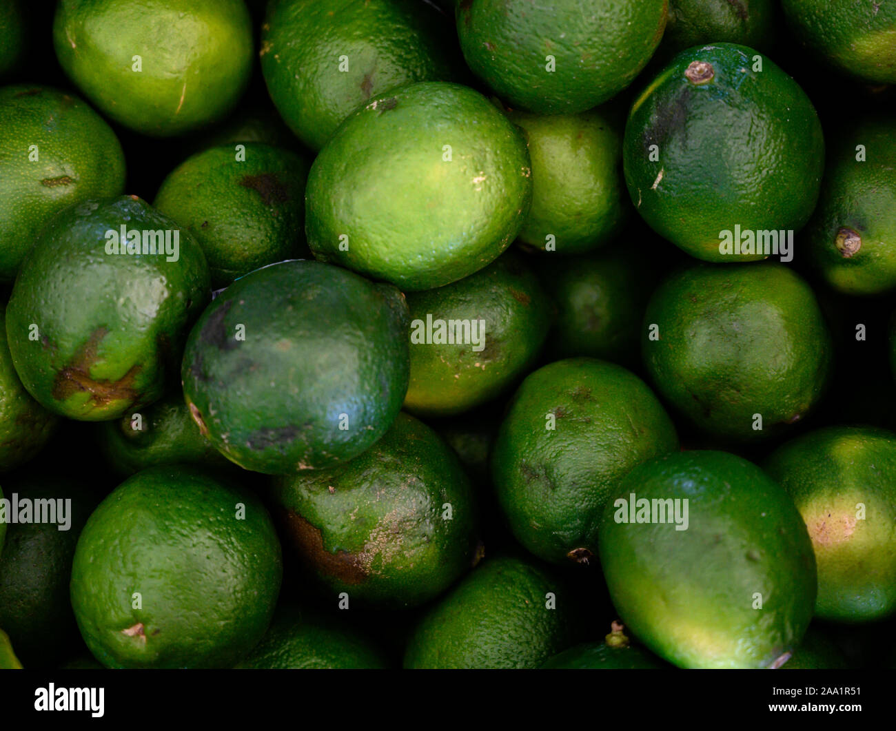 Close Up of Limes in a Box with bright lighting Stock Photo - Alamy