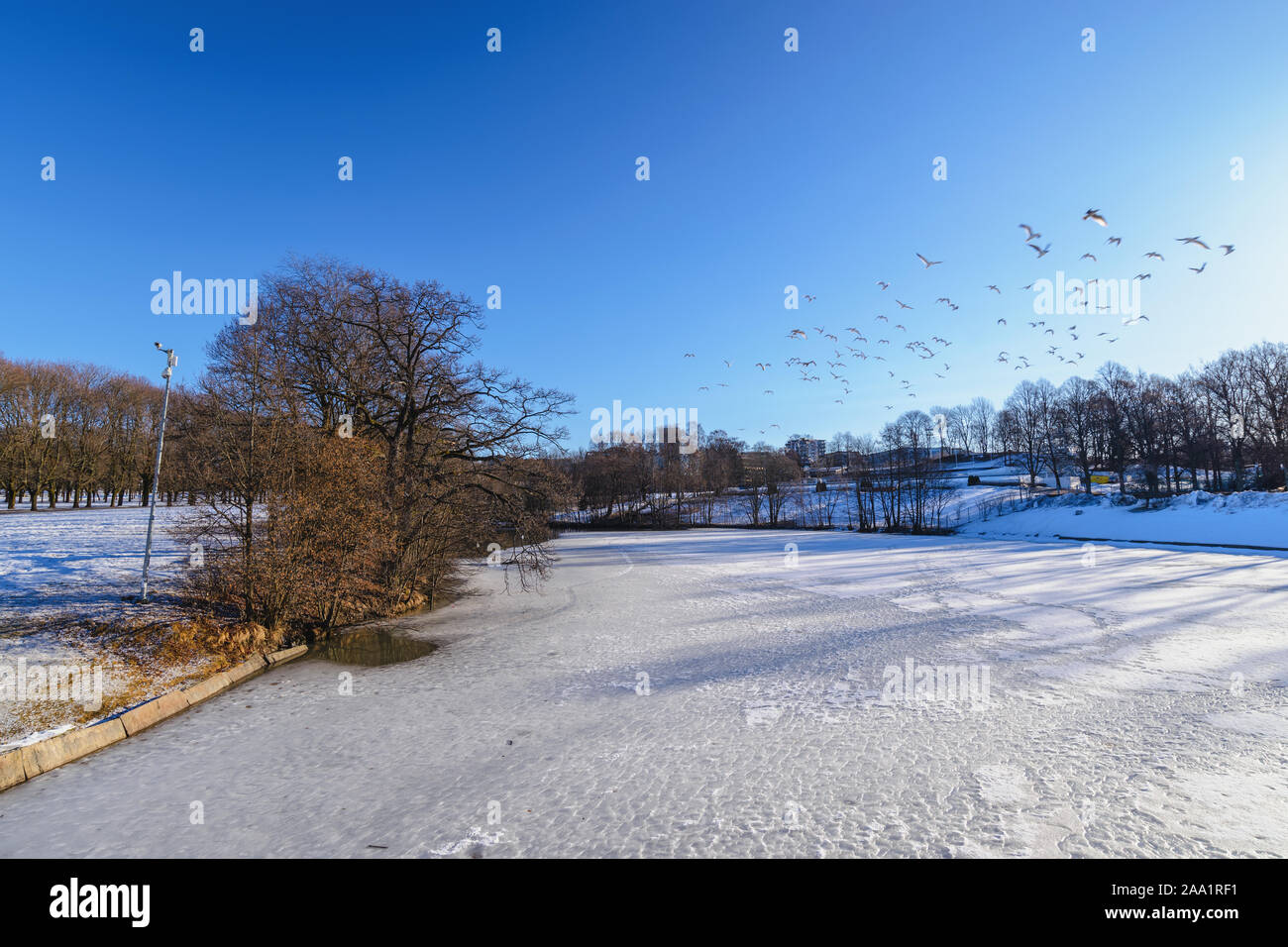 Oslo winter landscape at Vigeland Sculpture Park with snow and dry tree ...