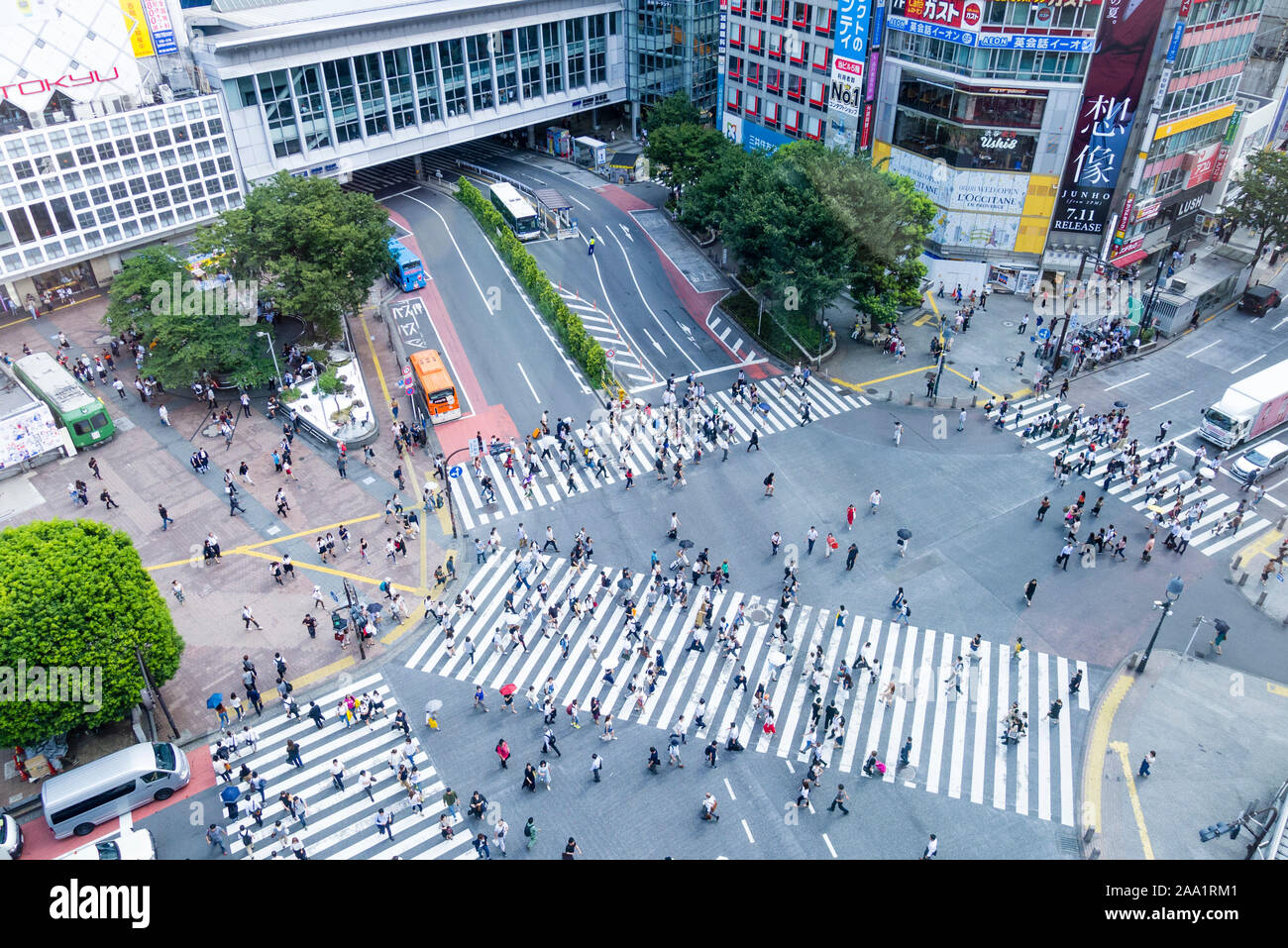 View of Shibuya Scramble Crossing in Tokyo from Above Stock Photo - Alamy