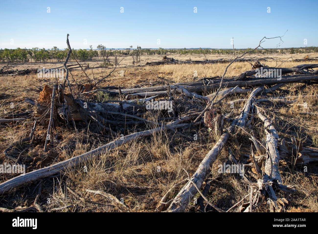 Queensland deforestation hi-res stock photography and images - Alamy