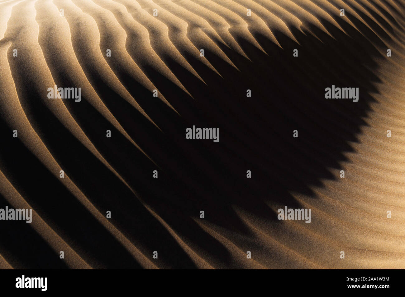 Desert pattern hi-res stock photography and images - Alamy