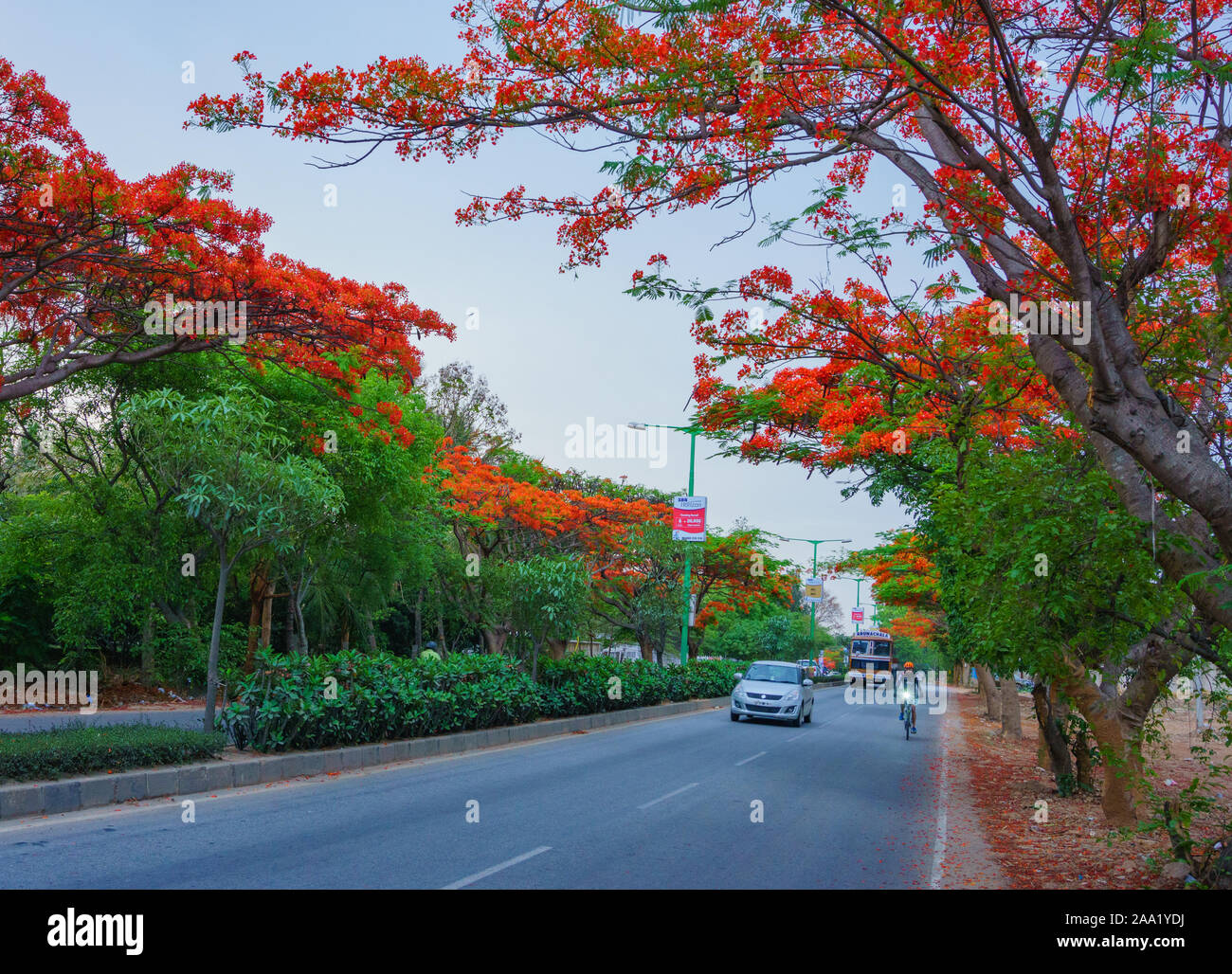 Whitefield bangalore hi-res stock photography and images - Alamy