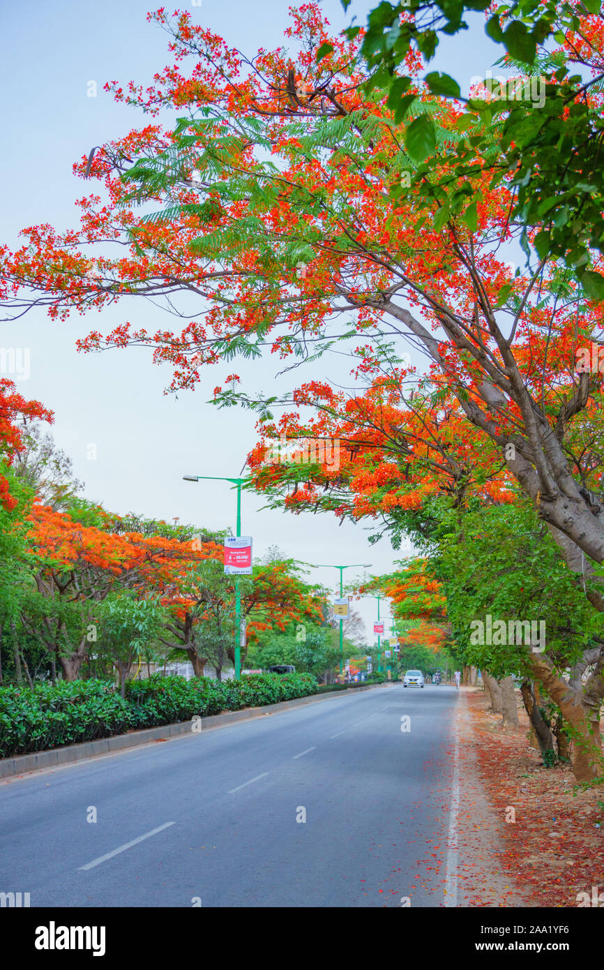 Whitefield bangalore hi-res stock photography and images - Alamy
